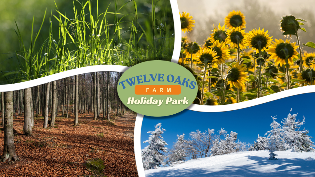 Seasonal Activities at Twelve Oaks Farm Holiday Park - TWELVE OAKS ...